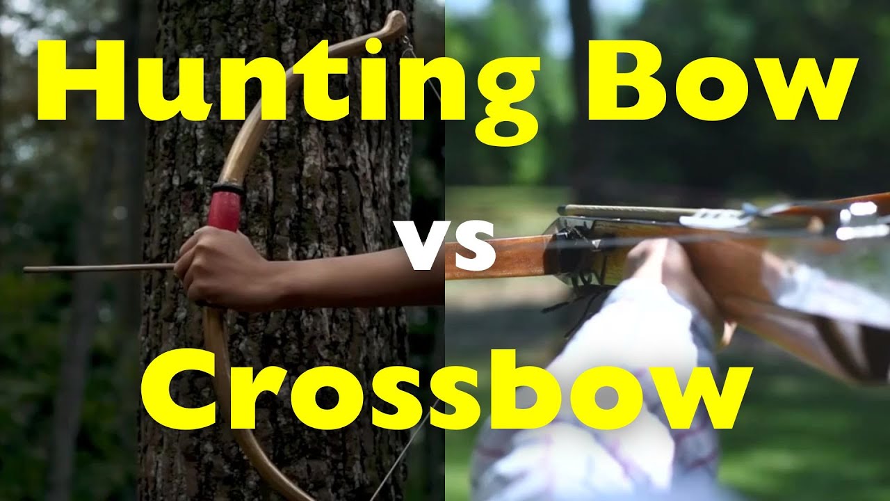 Hunting Bow vs. Crossbow: A Comparison for Hunters - YouTube