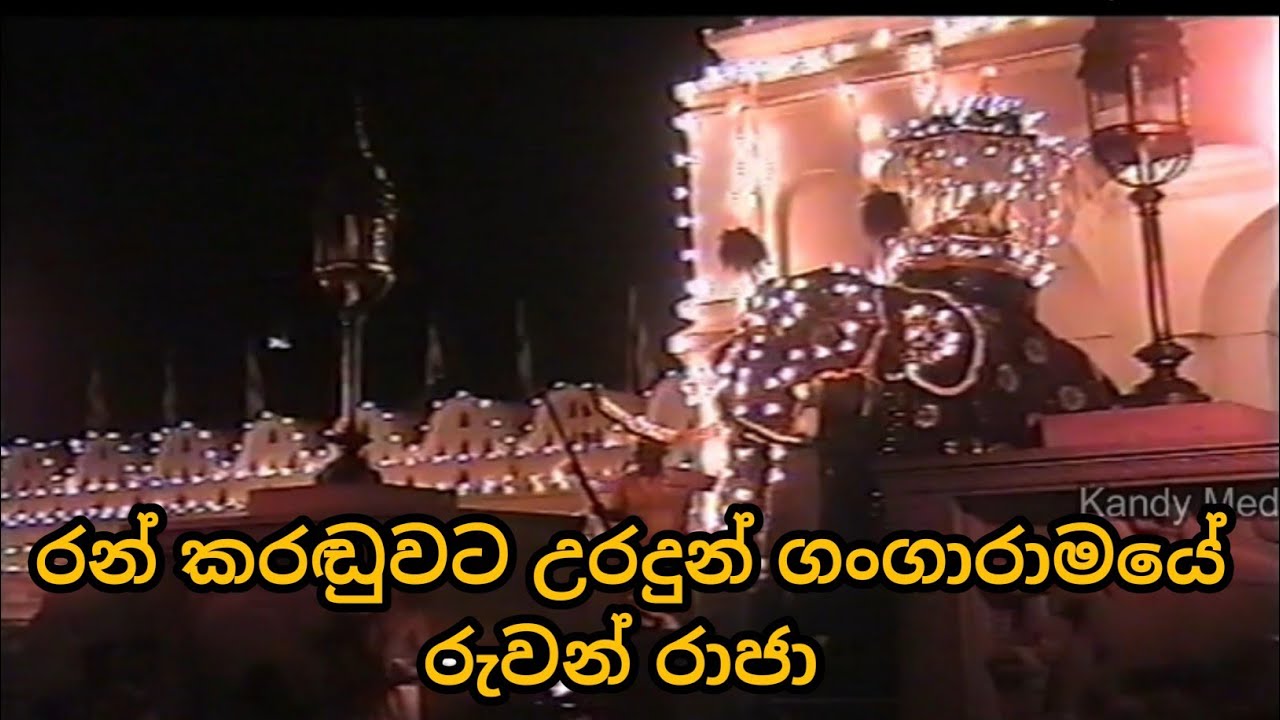 රන් කරඬුවට උරදුන් රුවන් රාජා Tusker Ruwan Raja - YouTube