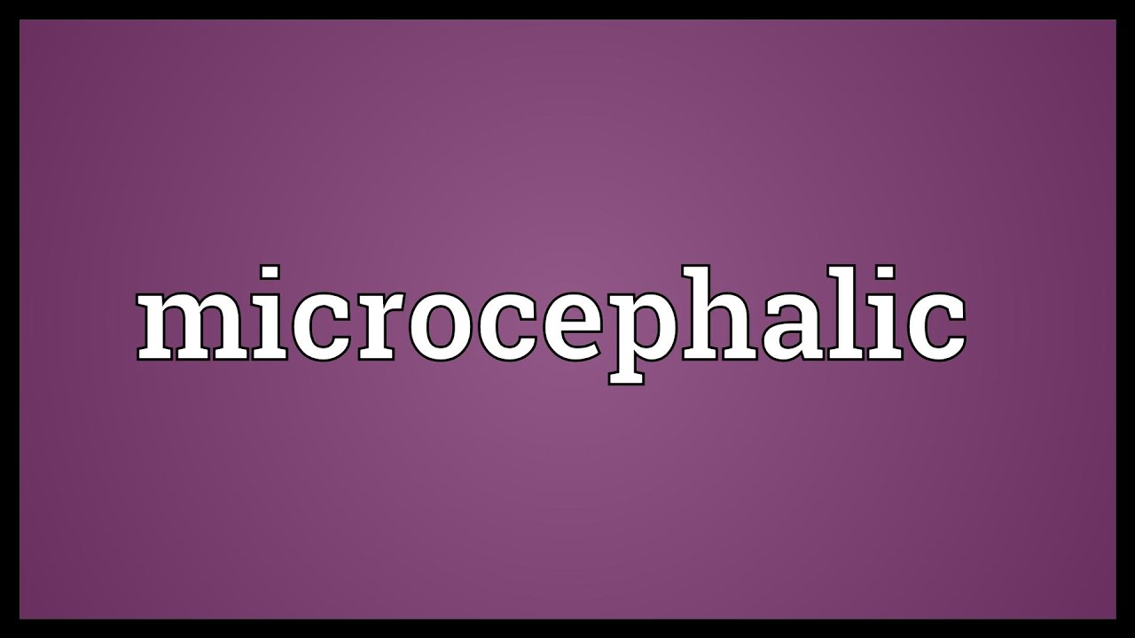 Microcephalic Meaning - YouTube