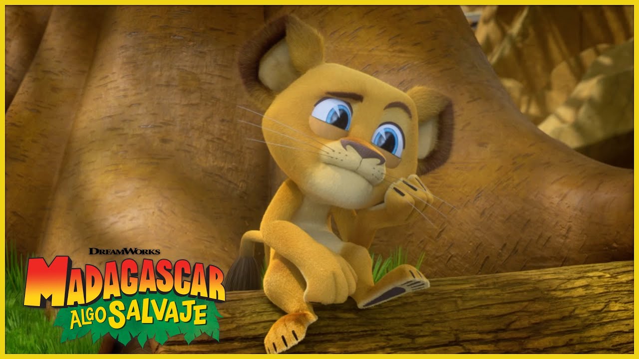 ¡Alex es demasiado pequeño! | DreamWorks Madagascar en Español Latino ...