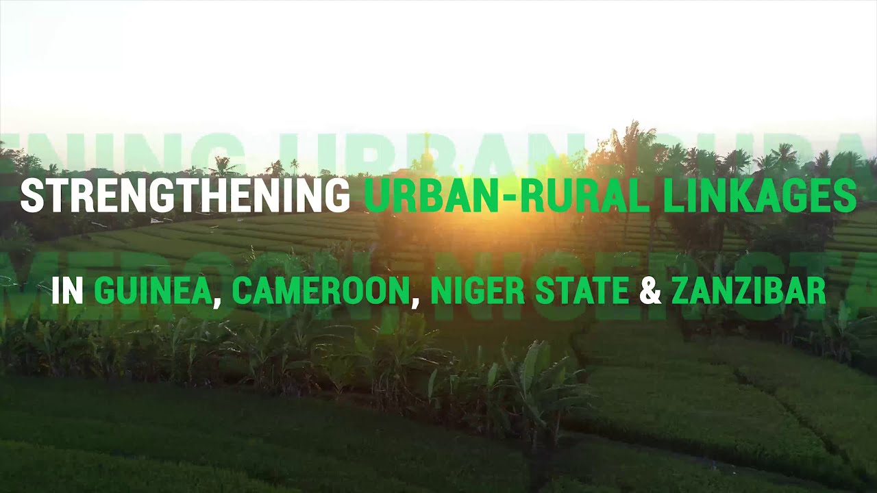What are Urban-Rural Linkages? - YouTube