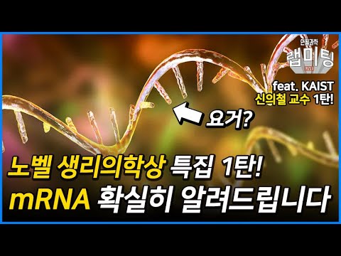 mRNA란 무엇인가? 2023 노벨 생리의학상 해설 특집 1편! (KAIST 신의철 교수) - YouTube