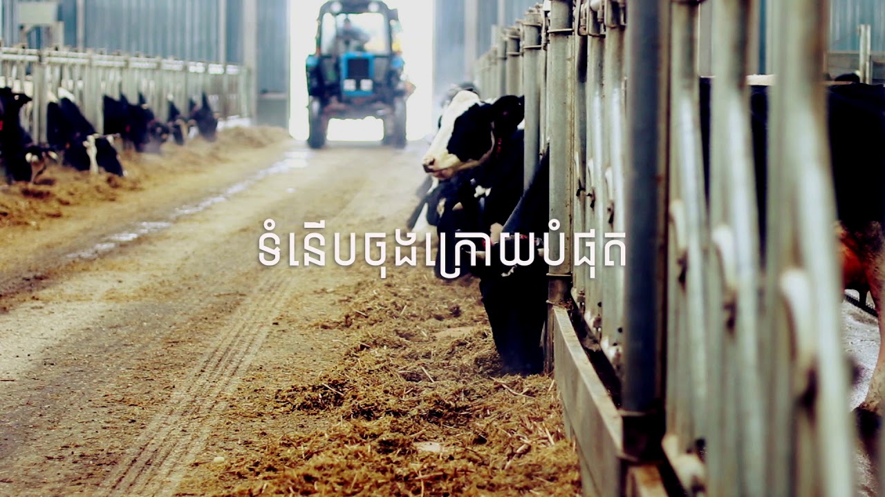 Kirisu Dairy advanced farm - YouTube