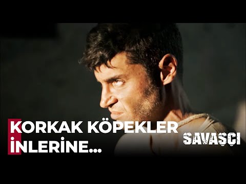 Büyük Kurt Savaş Meydanına Gidiyor - Savaşçı