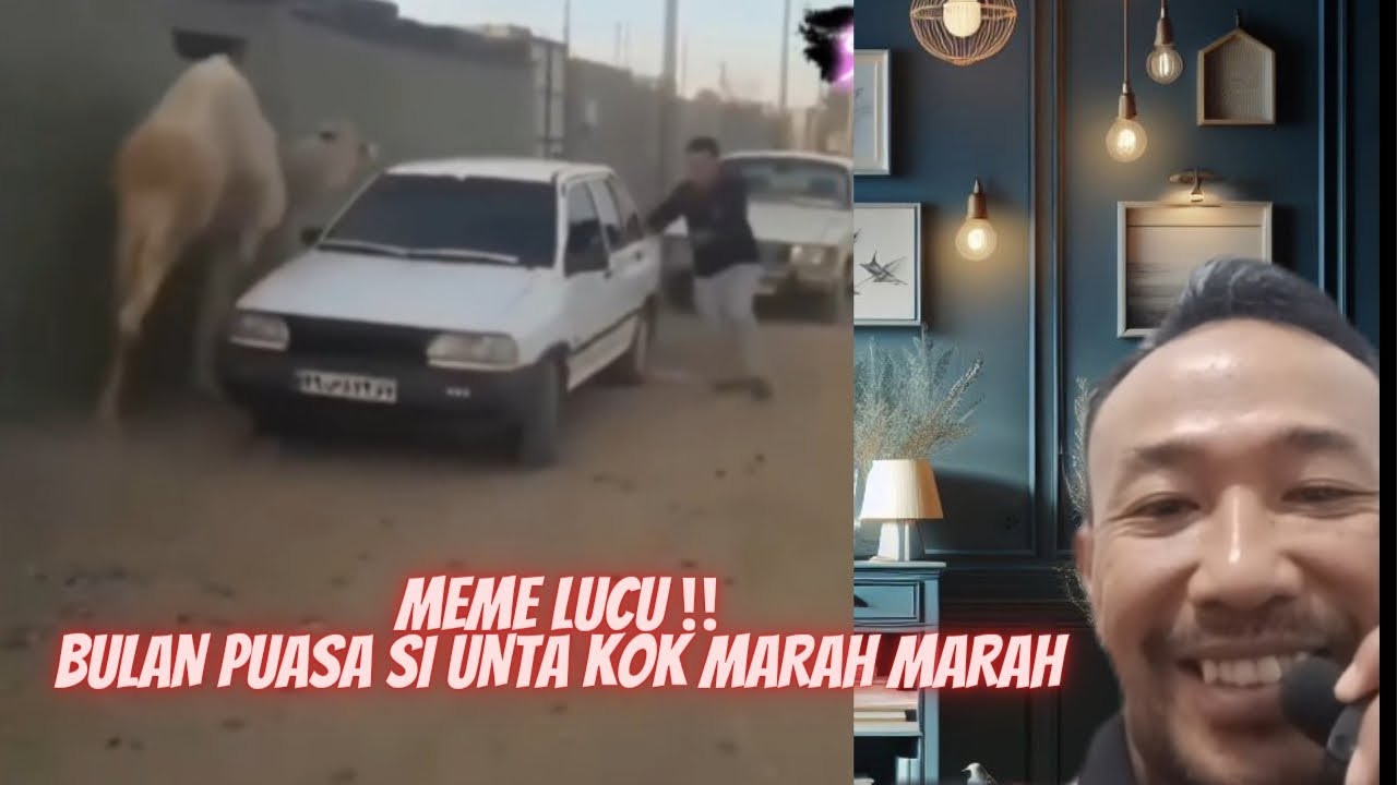meme lucu ‼️ bulan puasa si onta kok marah marah - YouTube
