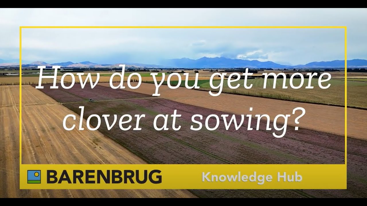 07. Knowledge Hub - How do you get more Clover at sowing - YouTube