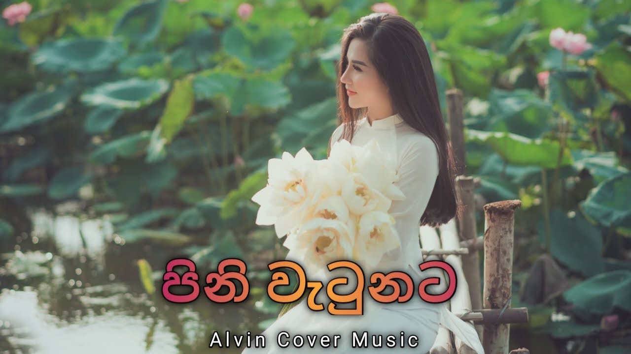 පිනි වැටුනට (pini Watunata) Siragathakala Sithuwiliwala|Alvin version ...