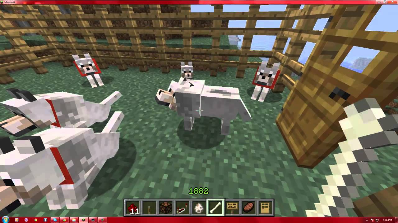 How to make puppies on MINECRAFT - YouTube