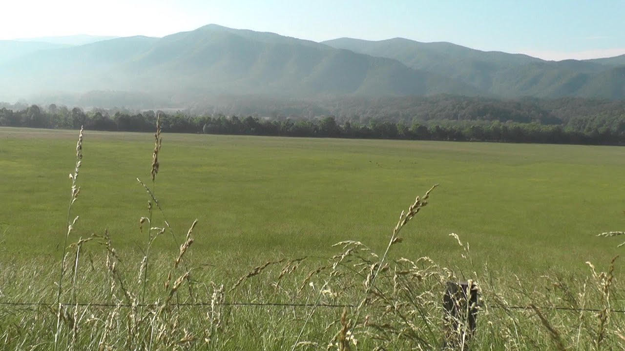 Recumbent Trike Tour, Cades Cove, TN 2014-05-31, ActionBent - YouTube