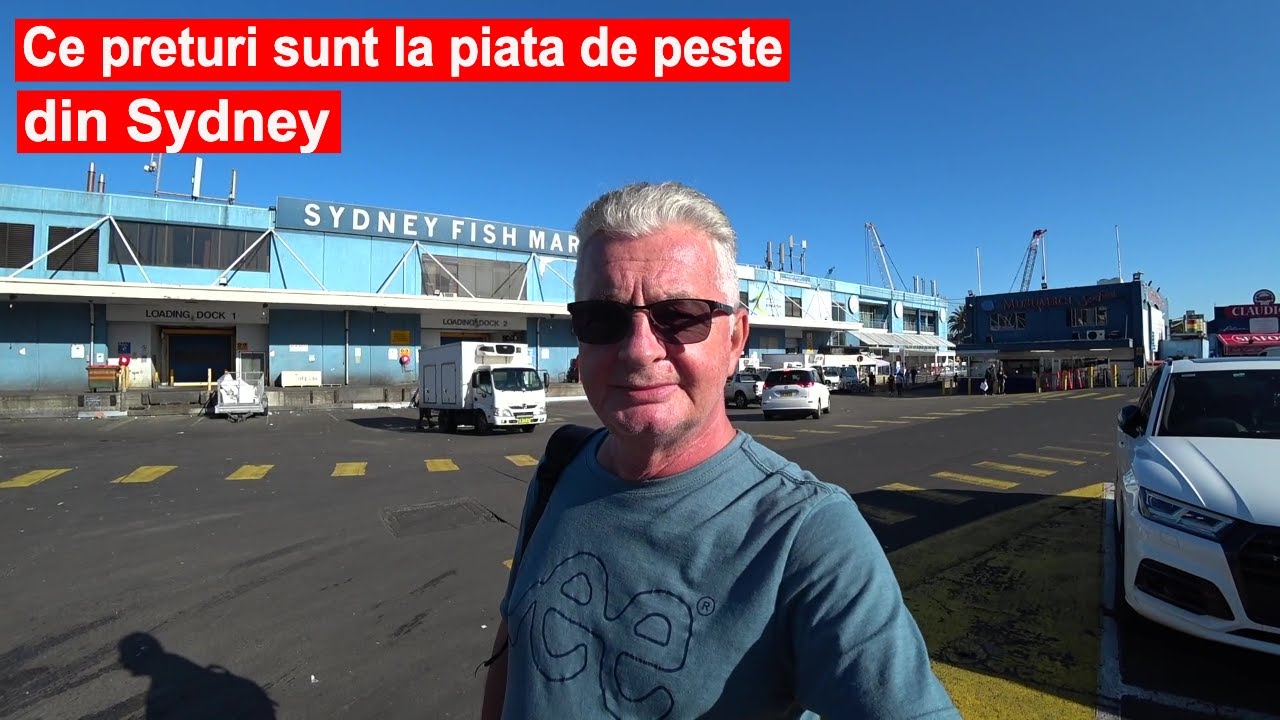 Ce preturi am gasit la piata de peste din Sydney - YouTube