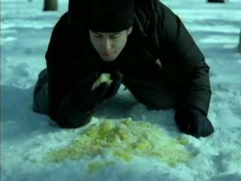 eating yellow snow - YouTube