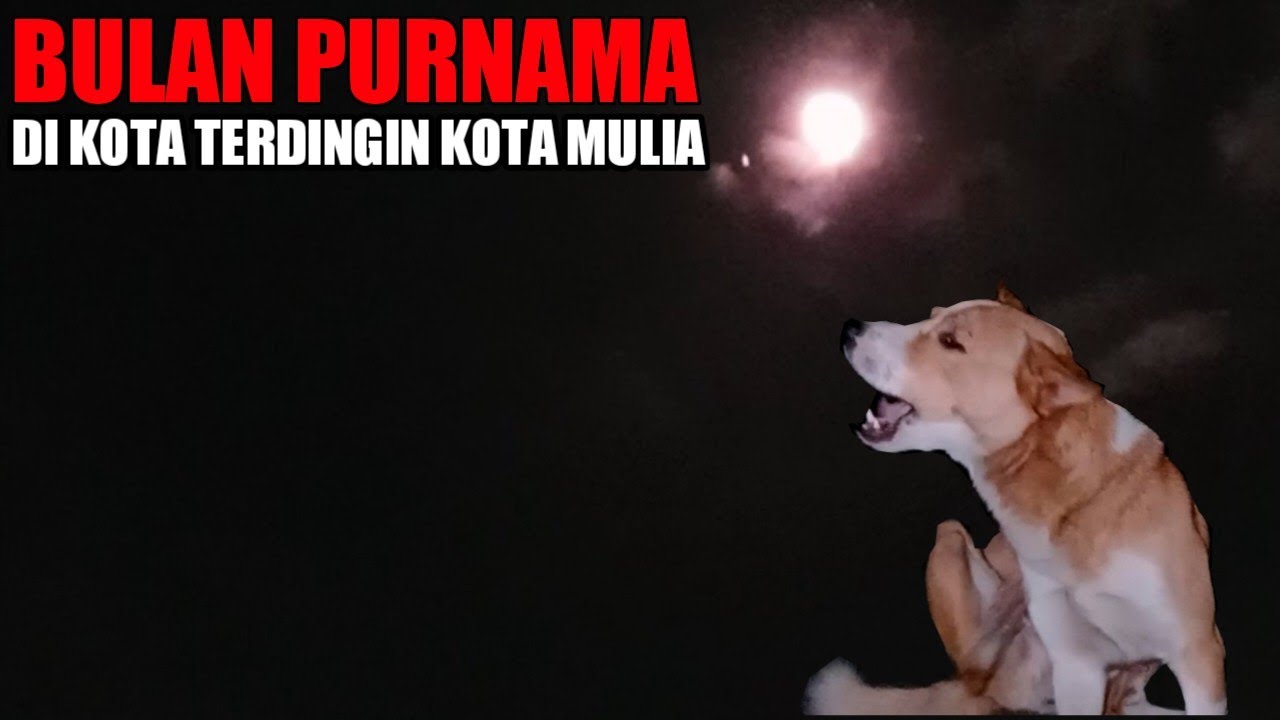 Suasana Malam Di Kota Mulia, Puncak Jaya, Papua - YouTube