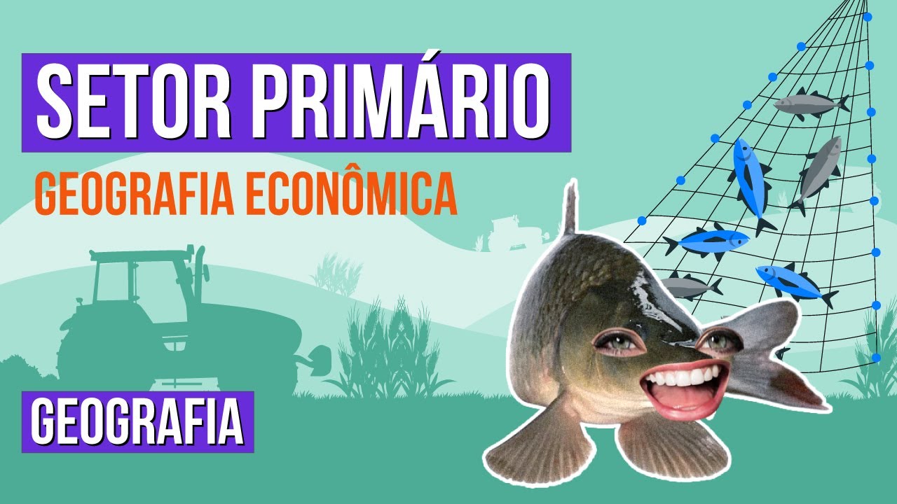 GEOGRAFIA ECONÔMICA: setor primário | Geografia para o Enem | Eduardo ...
