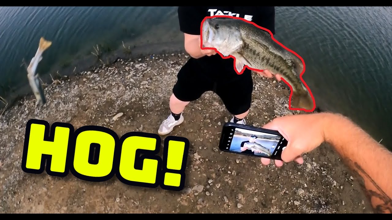 Buddy Catches MONSTER Bass! (Stevens Creek Reservoir Fishing) - YouTube