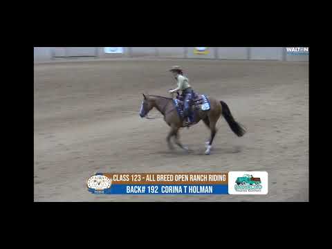 Holly Gun Gun- 2024 ABRA World- Ranch Horse Challenge Futurity Class ...