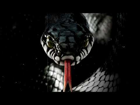 Qabr Azobi va Ilonlar