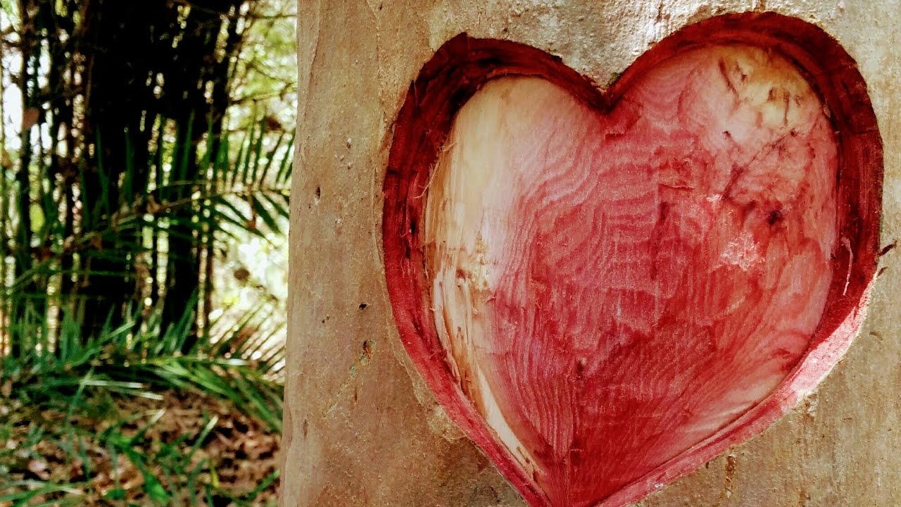 Beautiful heart cut in tree ♥ how to draw a heart in tree ♥ ...