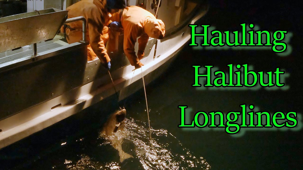 Night Haul - Halibut Longlining | Fishing in the Gulf of Alaska - YouTube