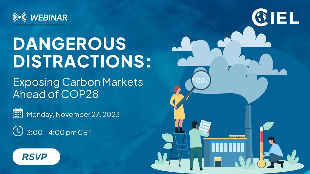 Dangerous Distractions: Exposing Carbon Markets Ahead of COP28 - YouTube