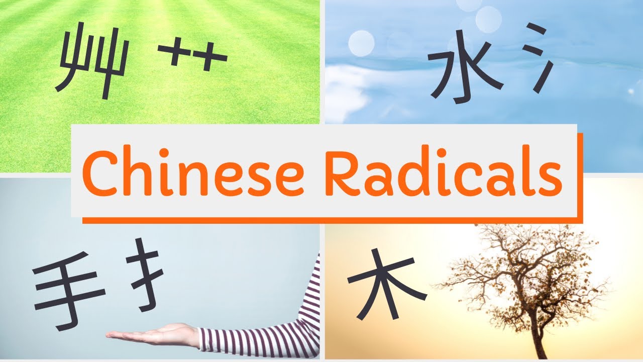 Top 4 Chinese Radicals Explained for Beginners (Ep.1/5)😊 - YouTube