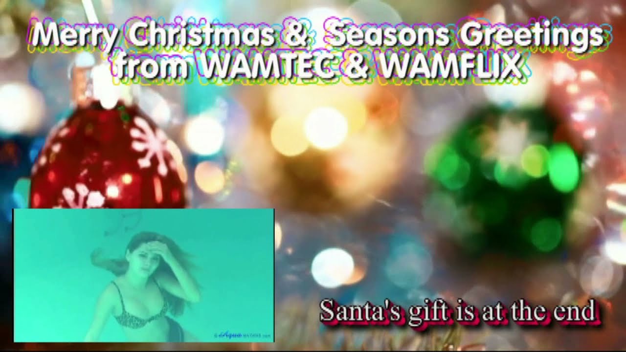 Merry Christmas from Wamtec - YouTube