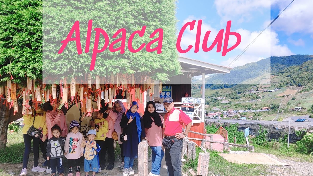 Kundasang Family Trip 3.0 Alpaca Club - YouTube