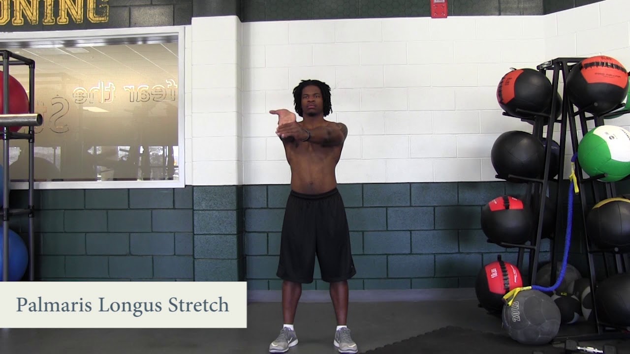 Palmaris Longus Stretch - YouTube