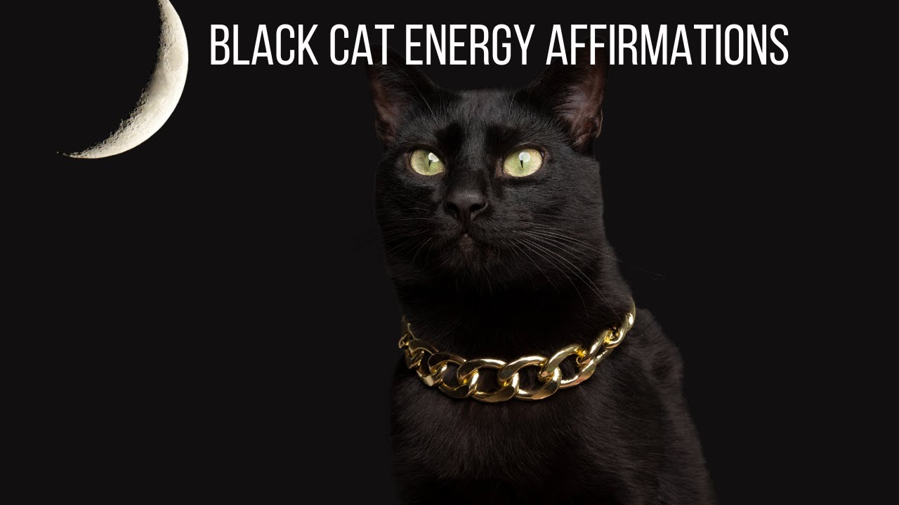 Black Cat Energy Affirmations – Turn Any Man Into Your Loyal Pet - YouTube