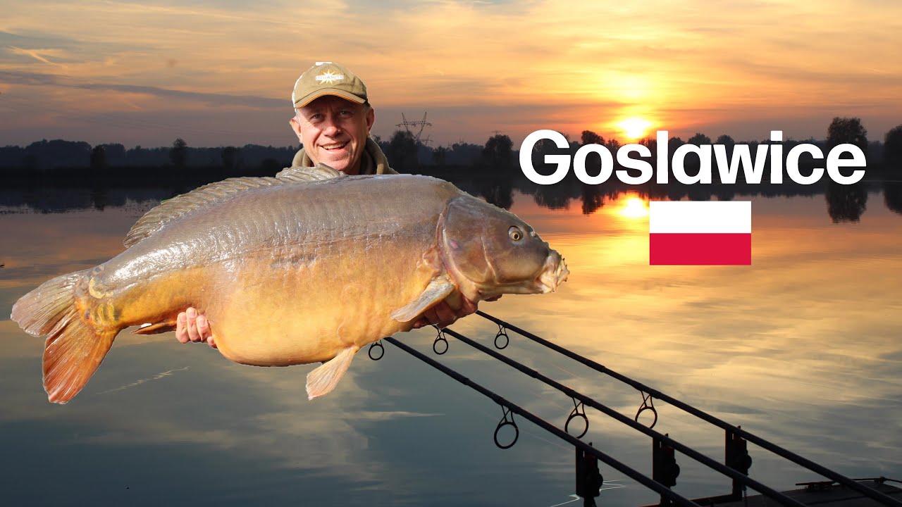 Carp Fishing - Goslawice Poland, Carp to 55lbs/25kgs - YouTube