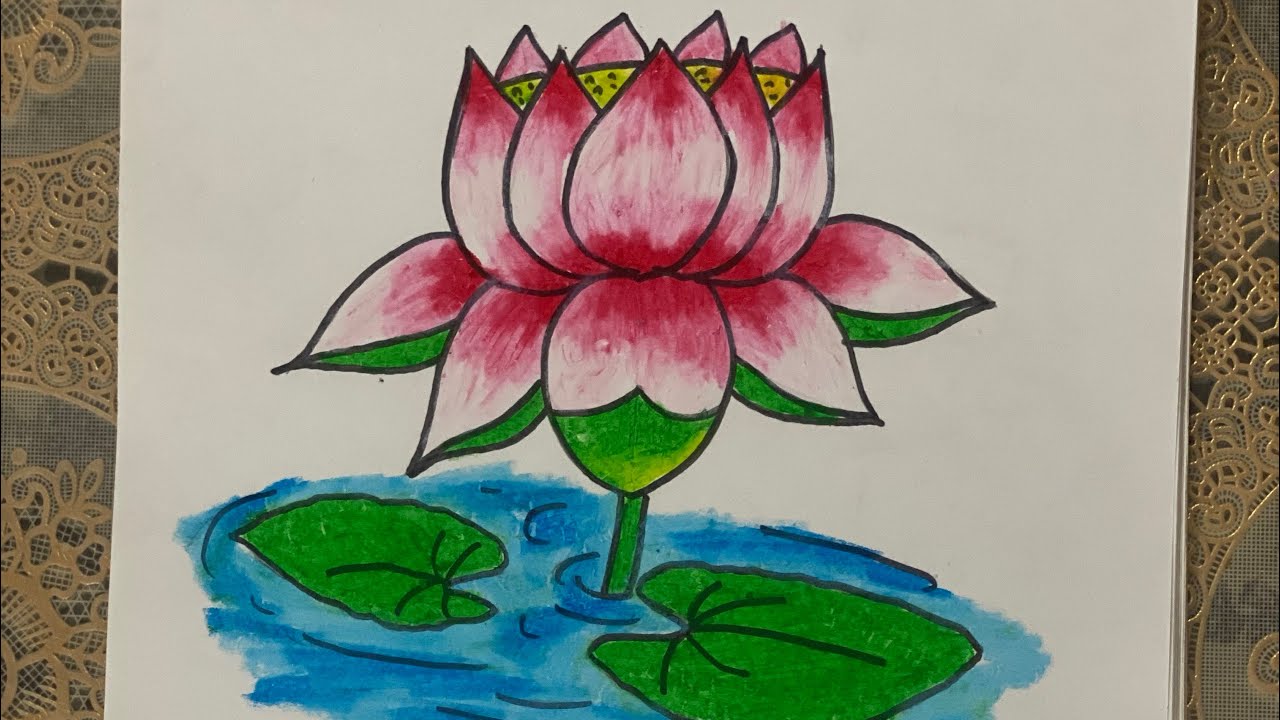 How to draw a lotus step by step. সহজ পদ্ধতিতে পদ্ম আঁকা। - YouTube
