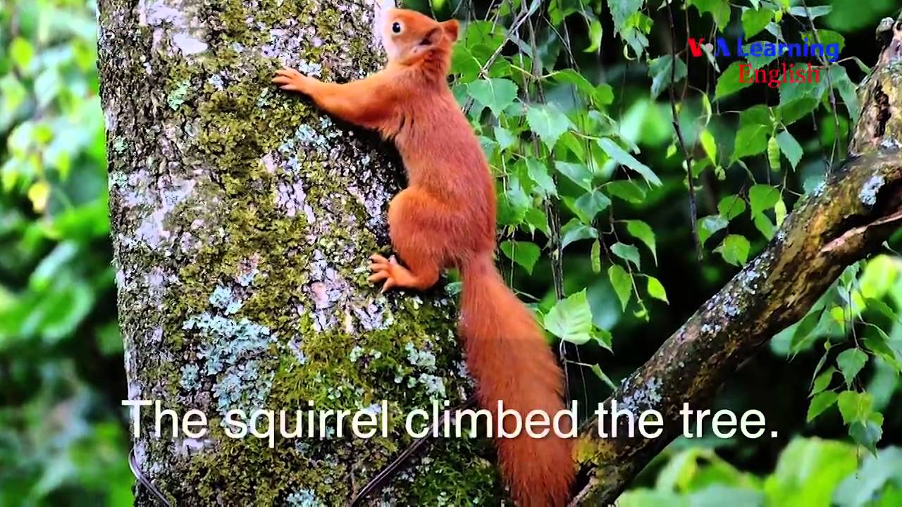 Climb verb YouTube climb-verb-youtube