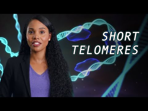 Telomere Biology Disorders explained