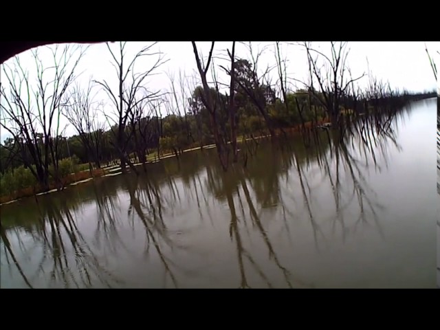 Guided Fishing Tour | Mackay,QLD | Mackay Fly & Sportfishing | Gallery