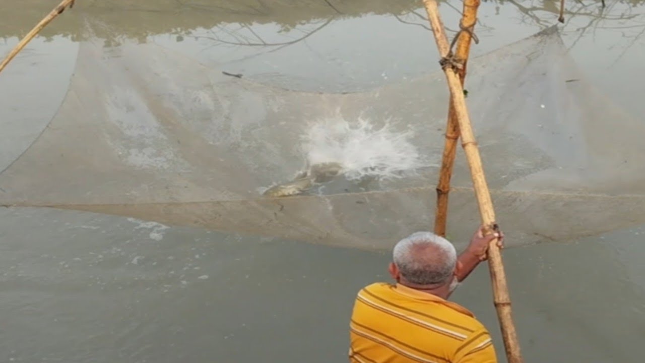 Method of fishing with ship nets in canals- rsl fish cutting - YouTube