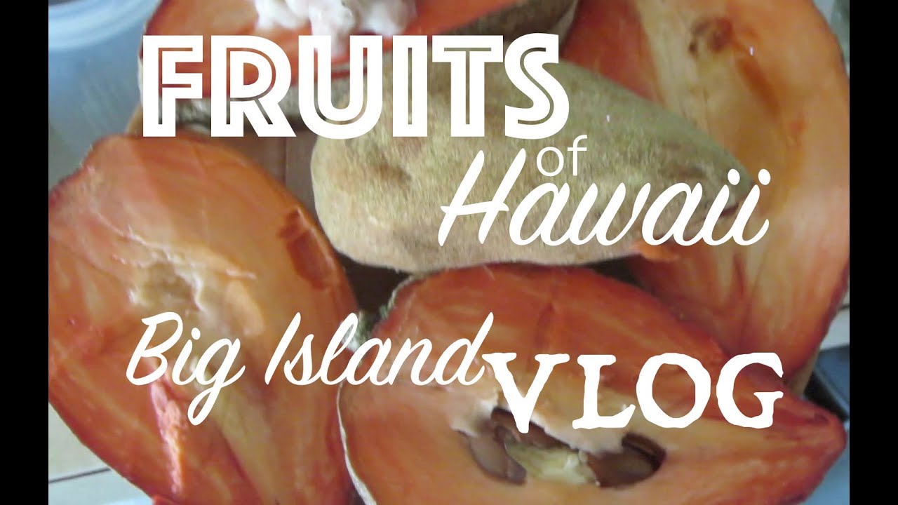 Favorite Fruits of Hawaii - Lily Koi VLOG - YouTube