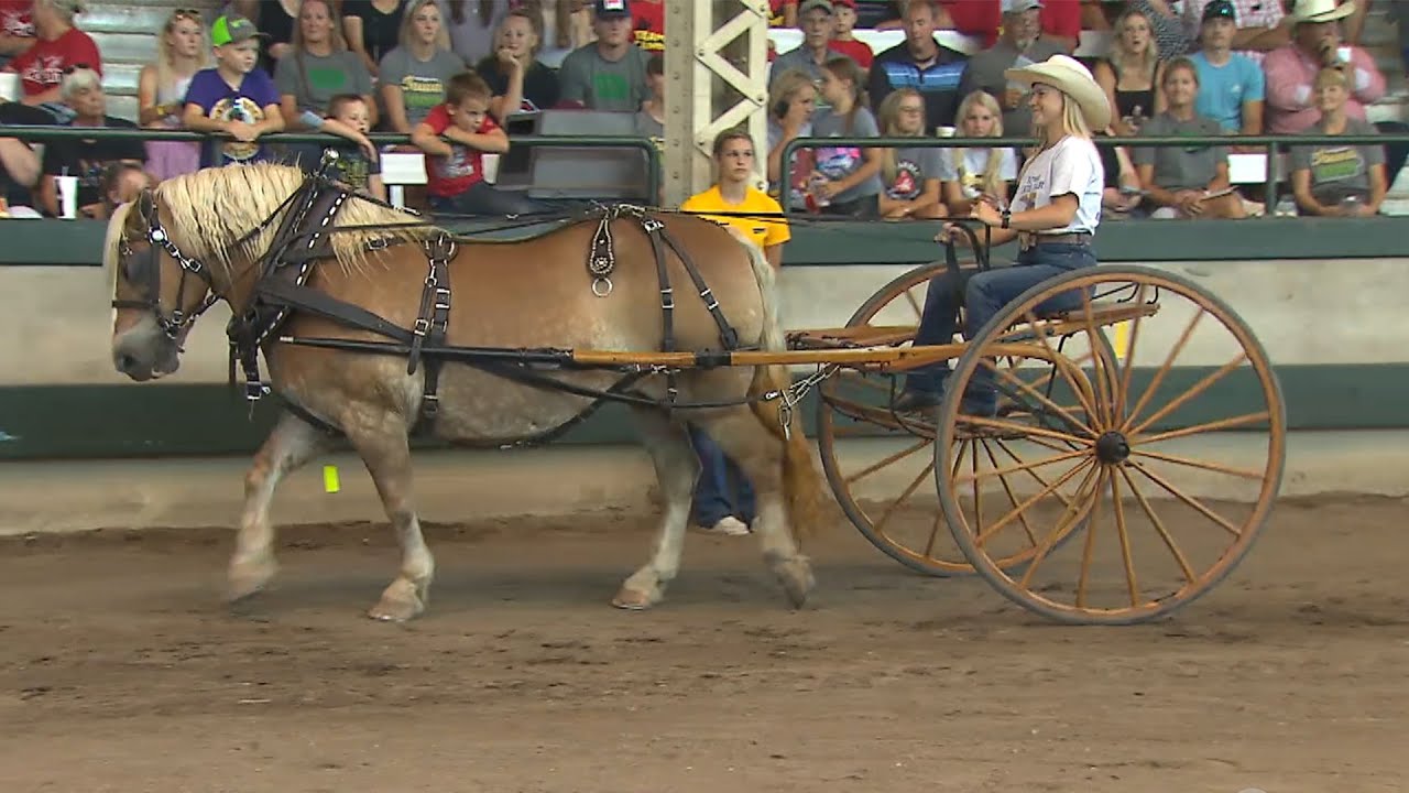 FFA Parade of Champions | 2021 Iowa State Fair - YouTube