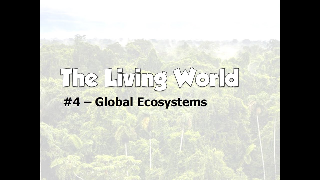 Living World - Characteristics of global ecosystems (Biomes) - YouTube