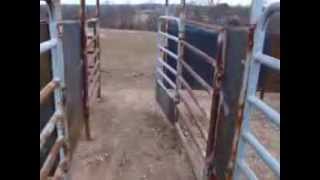 beef cattle corral plans - Woodworking Challenge