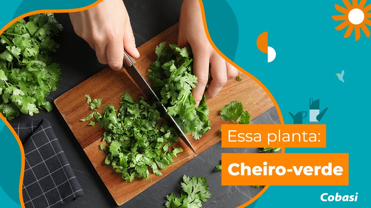 O que é 'cheiro verde'? | Websérie "Essa planta" - YouTube