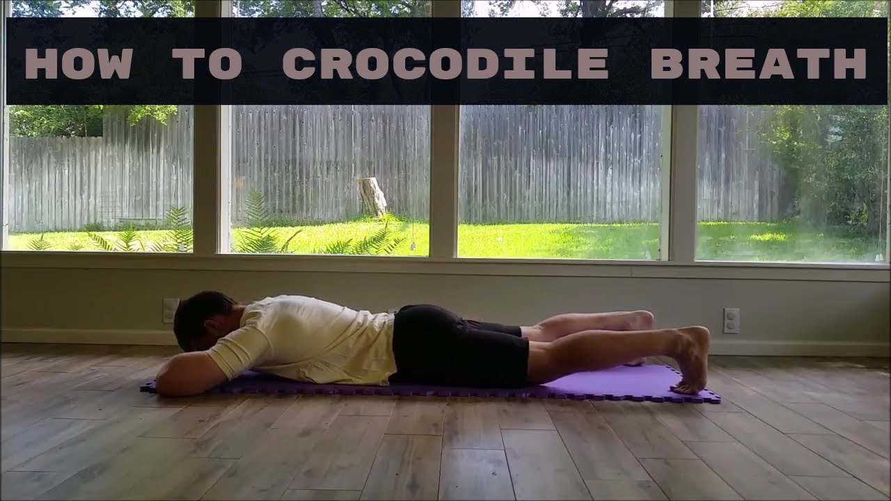 Crocodile Breathing - YouTube
