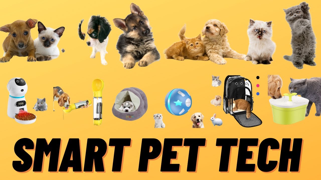 Smart Pet Tech For Your Home in 2021, Best Gift For Pets. - YouTube