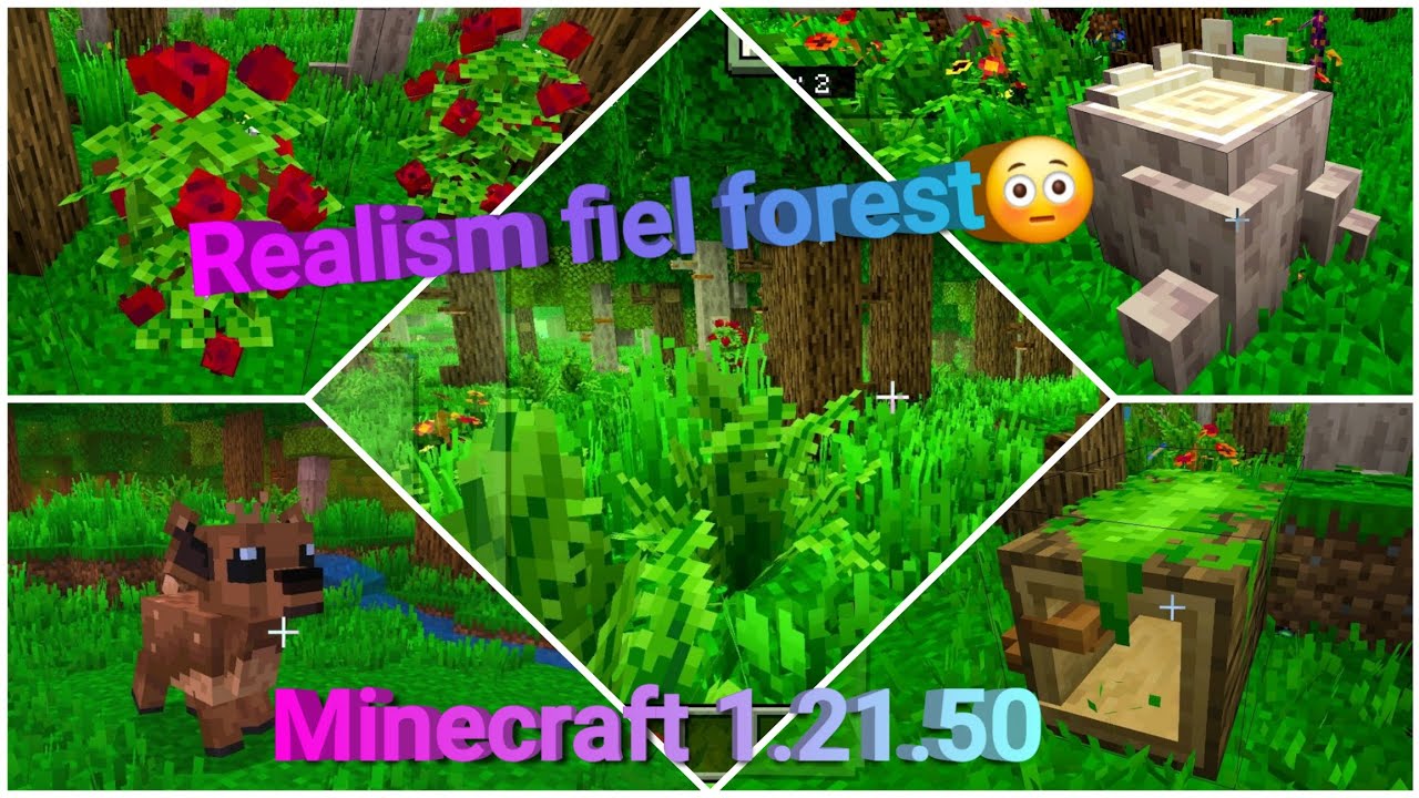 Realism field forest mod minecraft pe 1.21.50 gama alta, realismo a ...