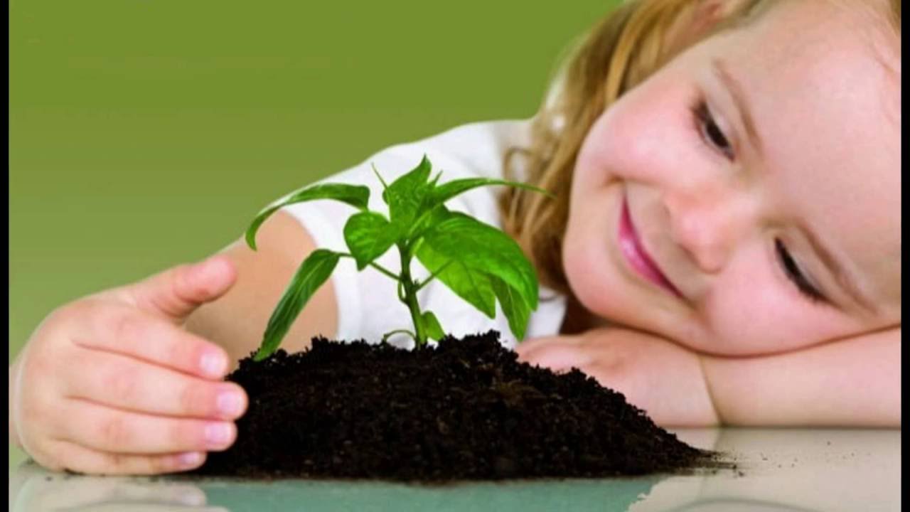 Save Trees Save Earth - YouTube