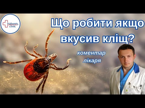 Що робити якщо вкусив кліщ? Як витягнути кліща?