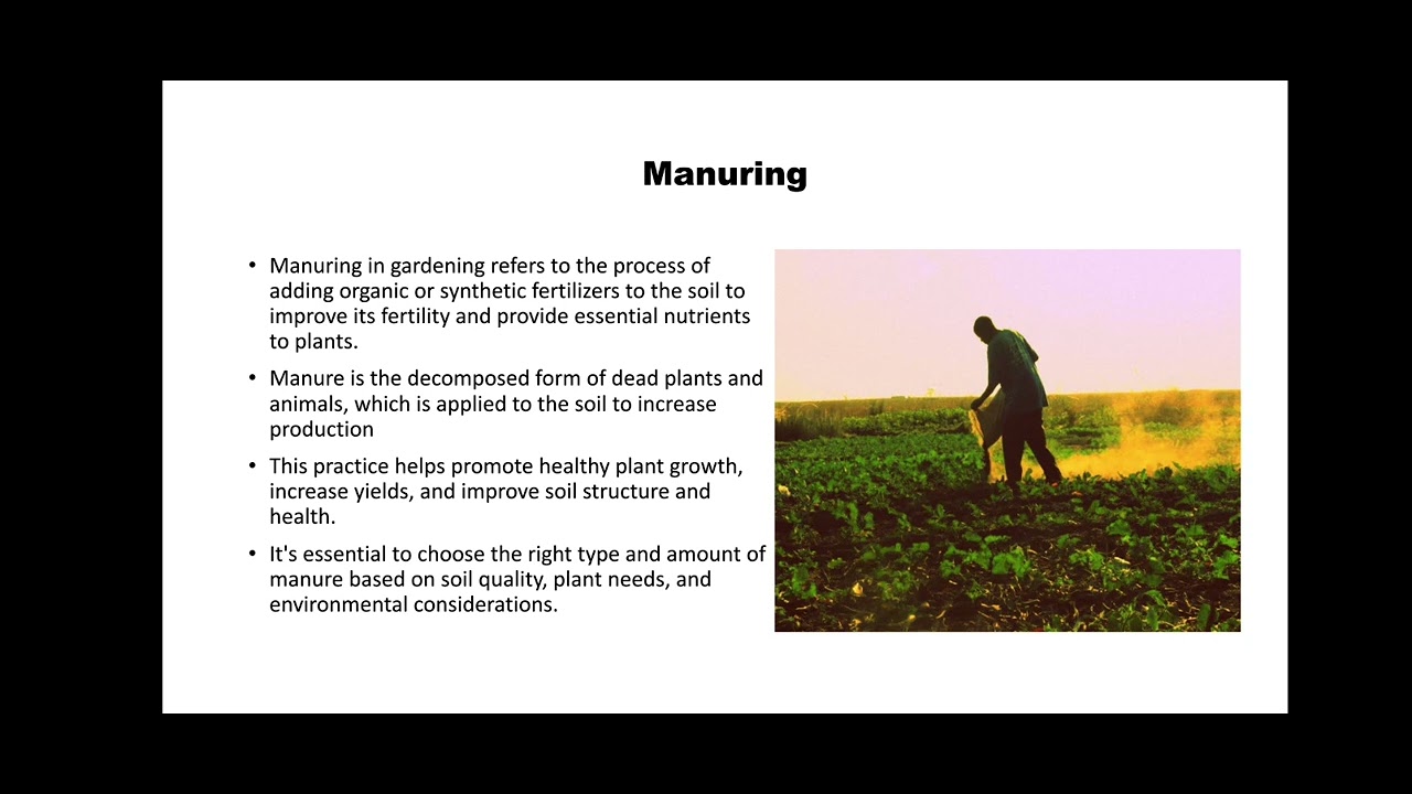 Gardening operations: soil laying, manuring & watering in nursery and ...