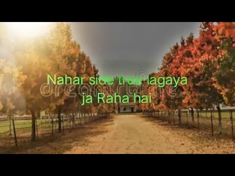 l Nahar side tree l 🌲 lagaya ja Raha hai #trending #viral #tree - YouTube