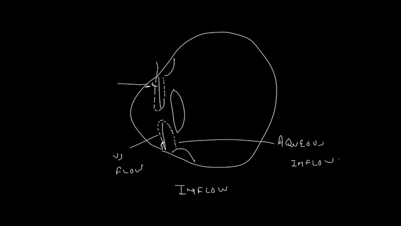 YAG PI (english) - YouTube