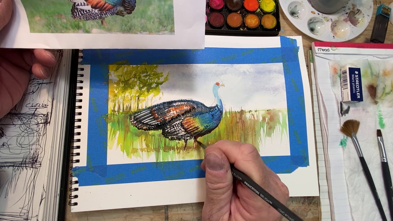 4. The Wild Blue Turkey details - YouTube