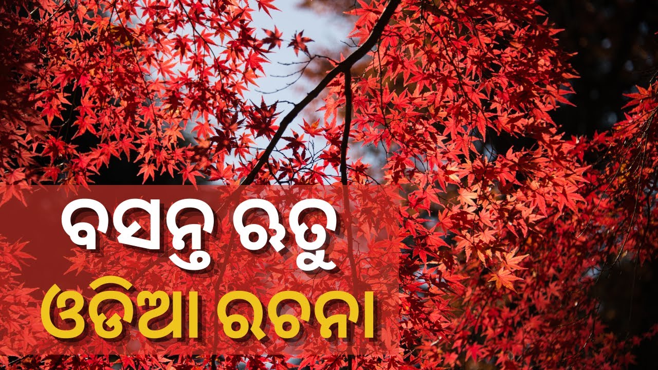 Basanta Rutu Odia Rachana || Spring Season Essay in Odia - YouTube