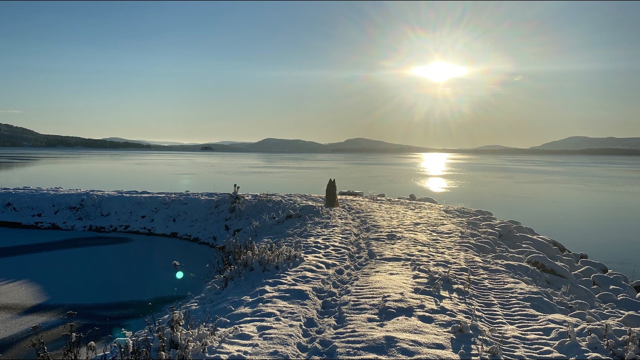 Trump Official Crypto Coin Live Chart - YouTube